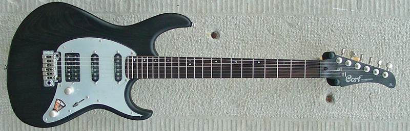 coolguitars.ca - Kingston Guitar Shop Features